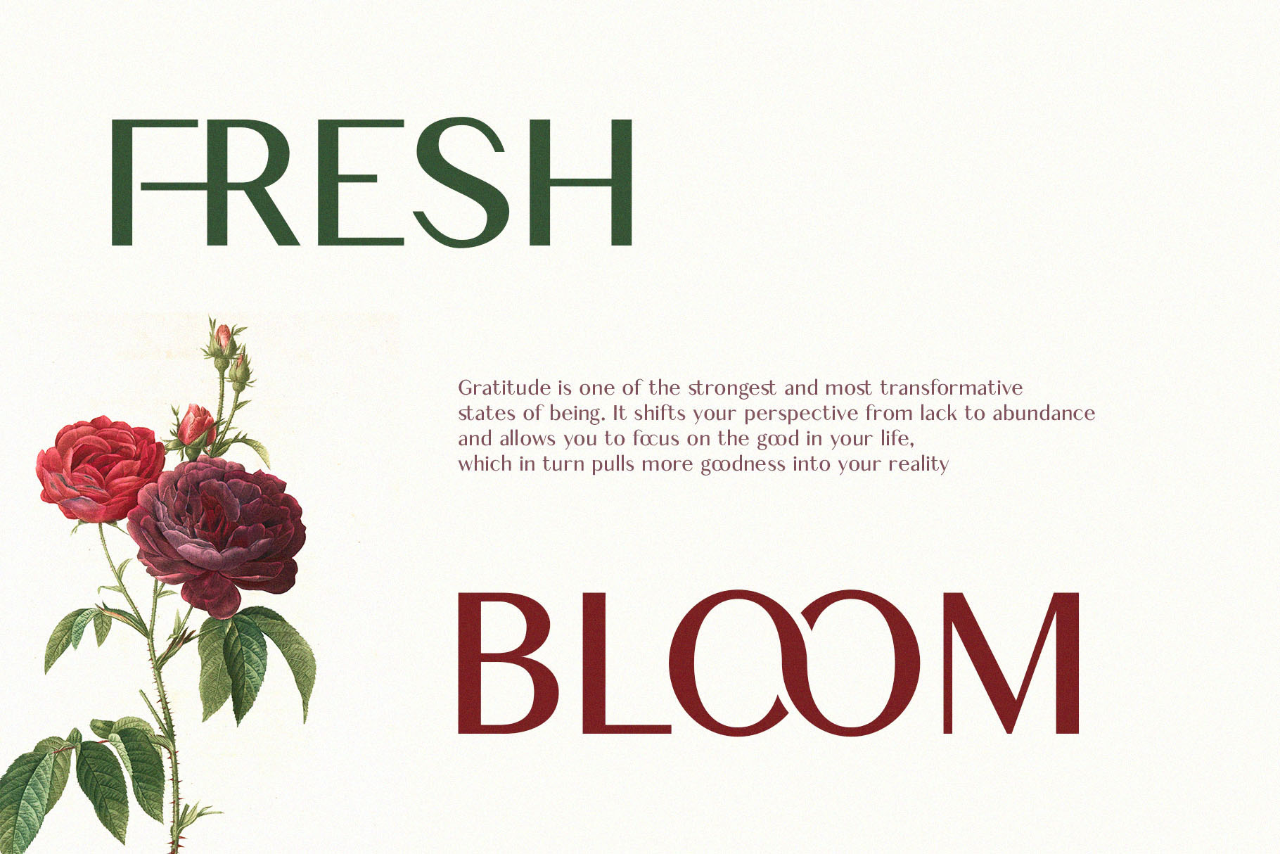 Decorative Sans Serif Typeface - Cheryl - Font Kingdom